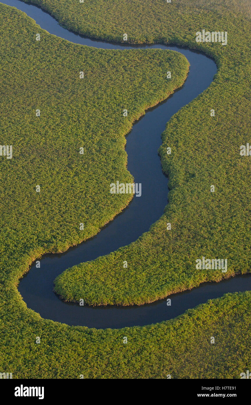 Papyrus (Cuperus papyrus) swamps and channel, aerial view, Africa Stock ...