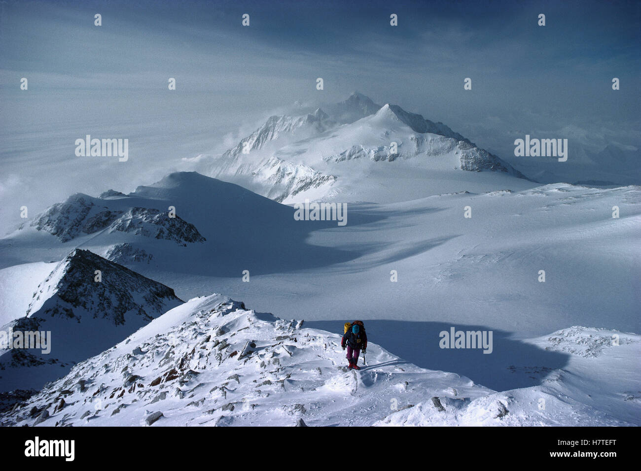 Mountain climber approaching summit of Vinson Massif, the highest peak ...