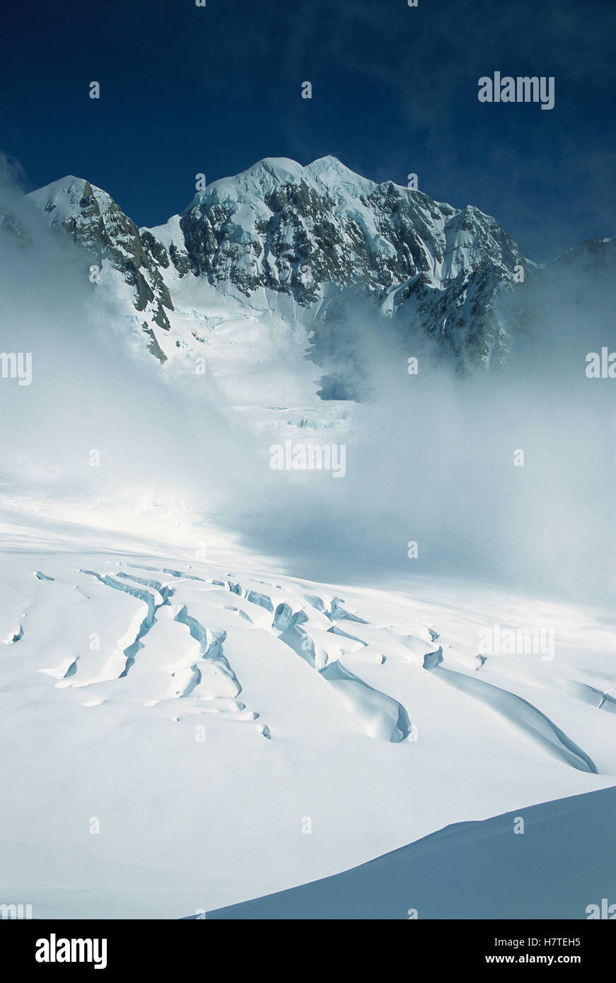 Mt Tasman in mist rears above Fox Glacier, Westland National Park ...