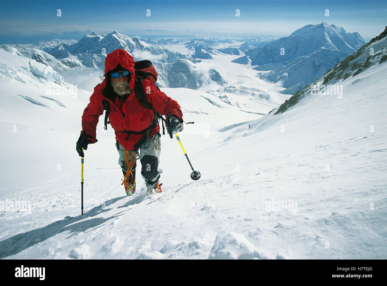 Climber hauls load above 4,200 meter camp on the west buttress route of ...