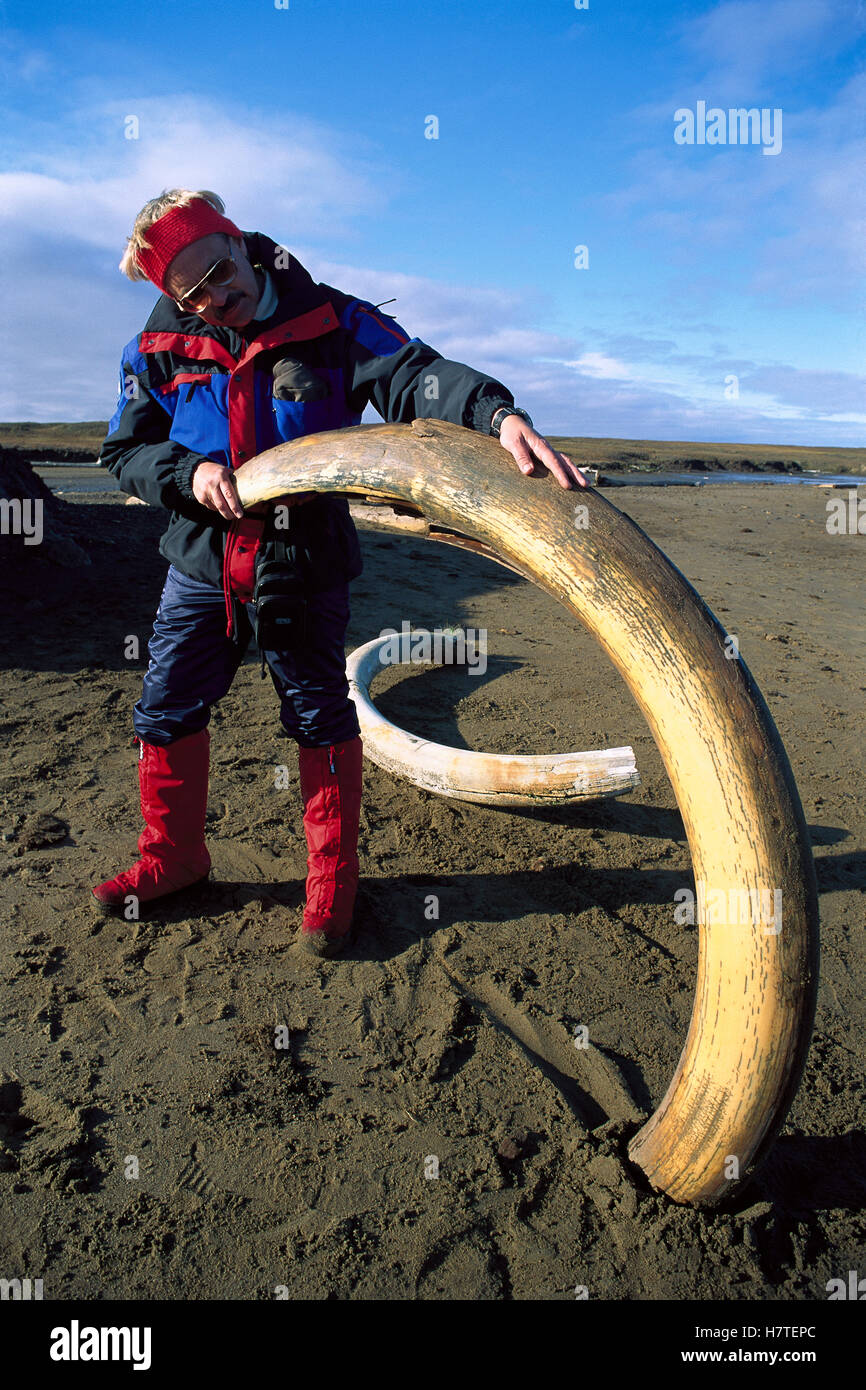 Australian Dennis Collaton with mammoth tusk, new Siberian Islands ...