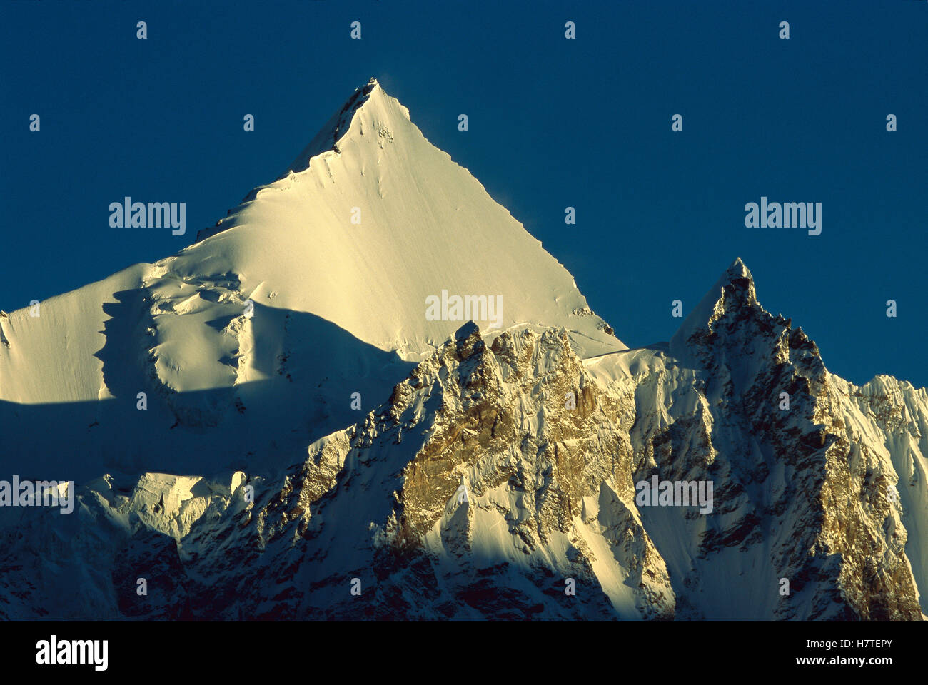 Angel Peak at dawn, 6,885 meters in elevation beside K2, Godwin Austen ...