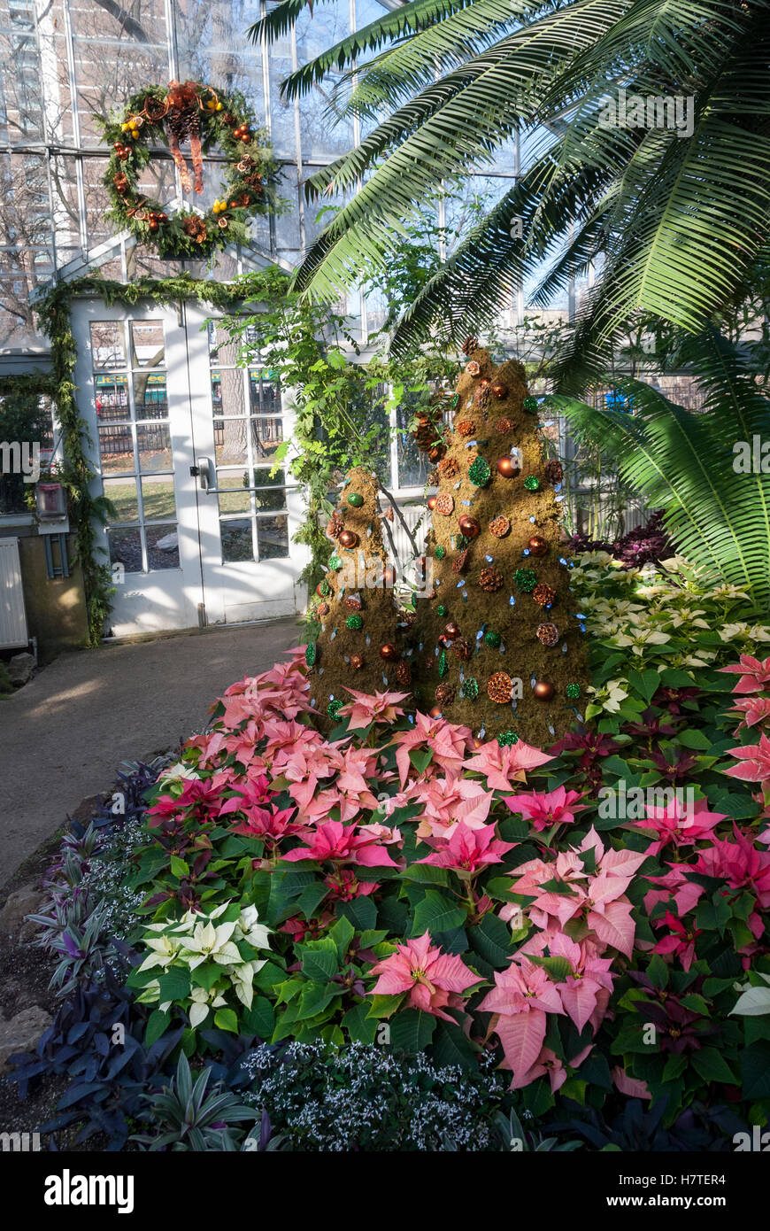 Greenhouses christmas hi-res stock photography and images - Alamy