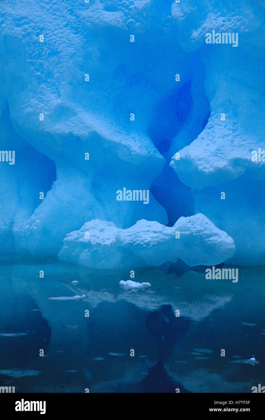 Eroded base of iceberg in snowstorm, Pleneau Island, Antarctic ...