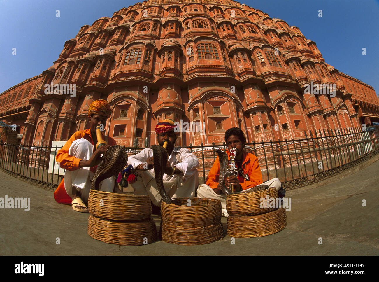 Snake charmers with Cobras (Naja sp) in front of Palace of the Winds, Jaipur, Rajasthan, India ...