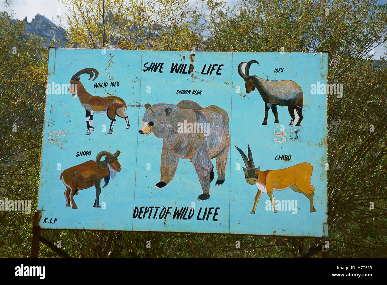 Road sign illustrating protected Ladakh wildlife including Brown Bear ...