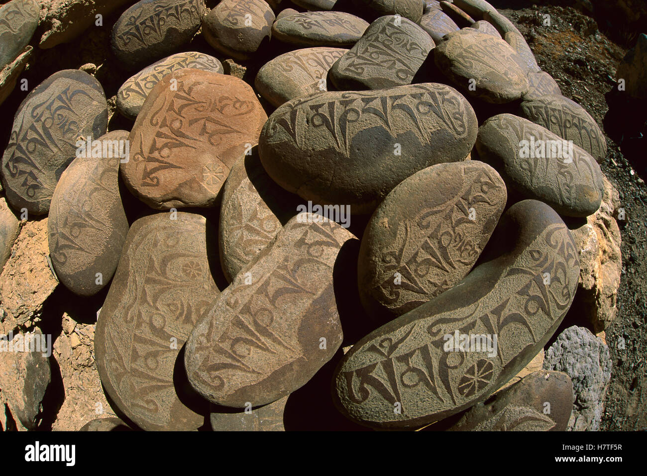 Carved Buddhist mani stones below ruined palace, Zangla, Kingdom of ...