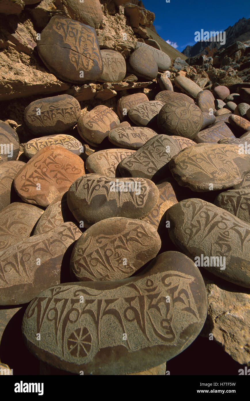 Carved Buddhist mani stones below ruined palace, Zangla, Kingdom of ...