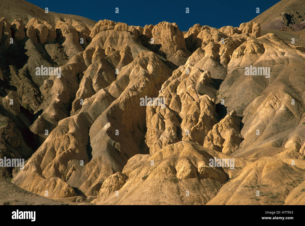 Moonland highly eroded alpine desert near Leh, Ladakh, northwest India ...