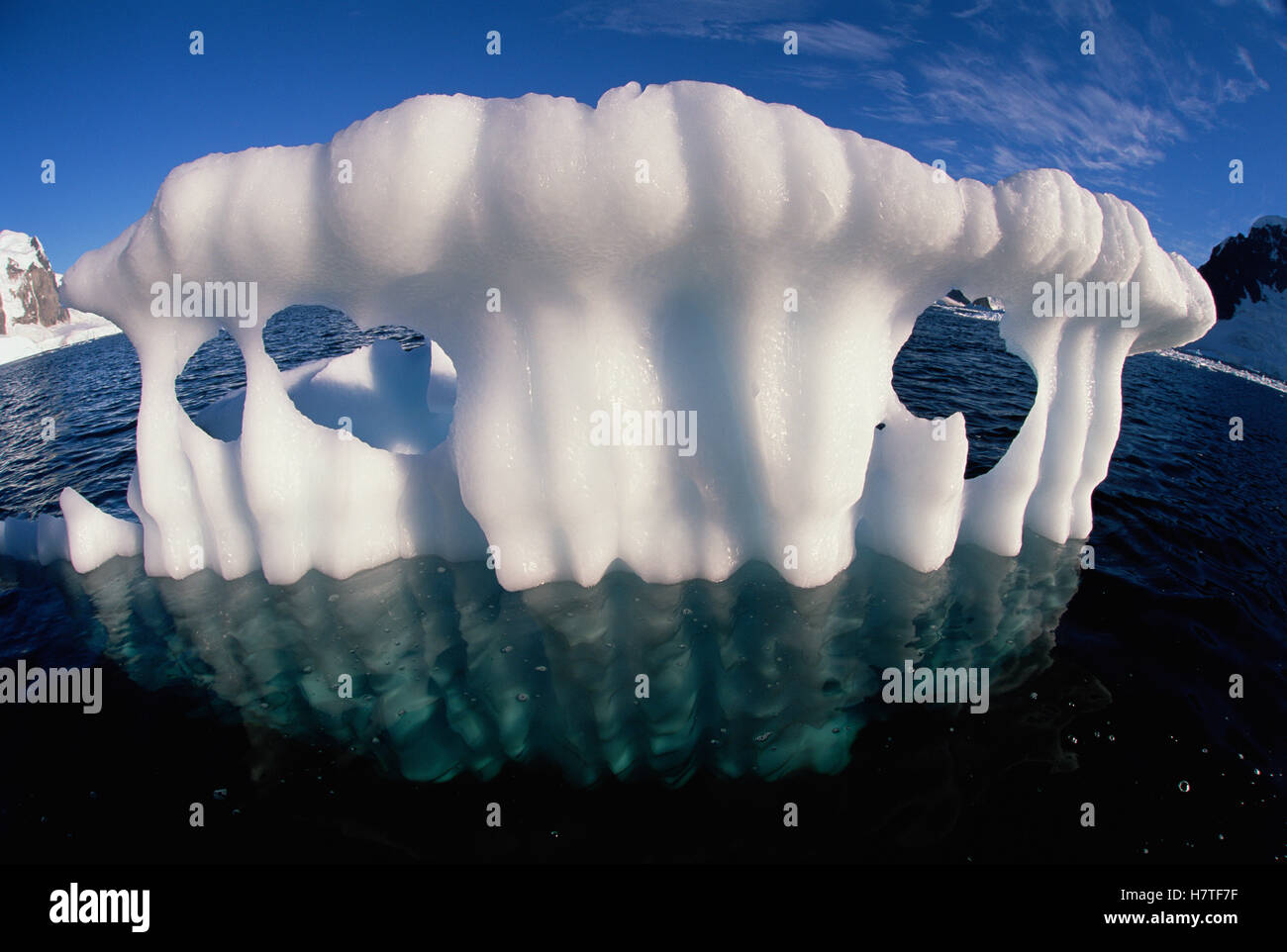 Melting shard of an iceberg, bergy bit, Danco Coast, Antarctica ...