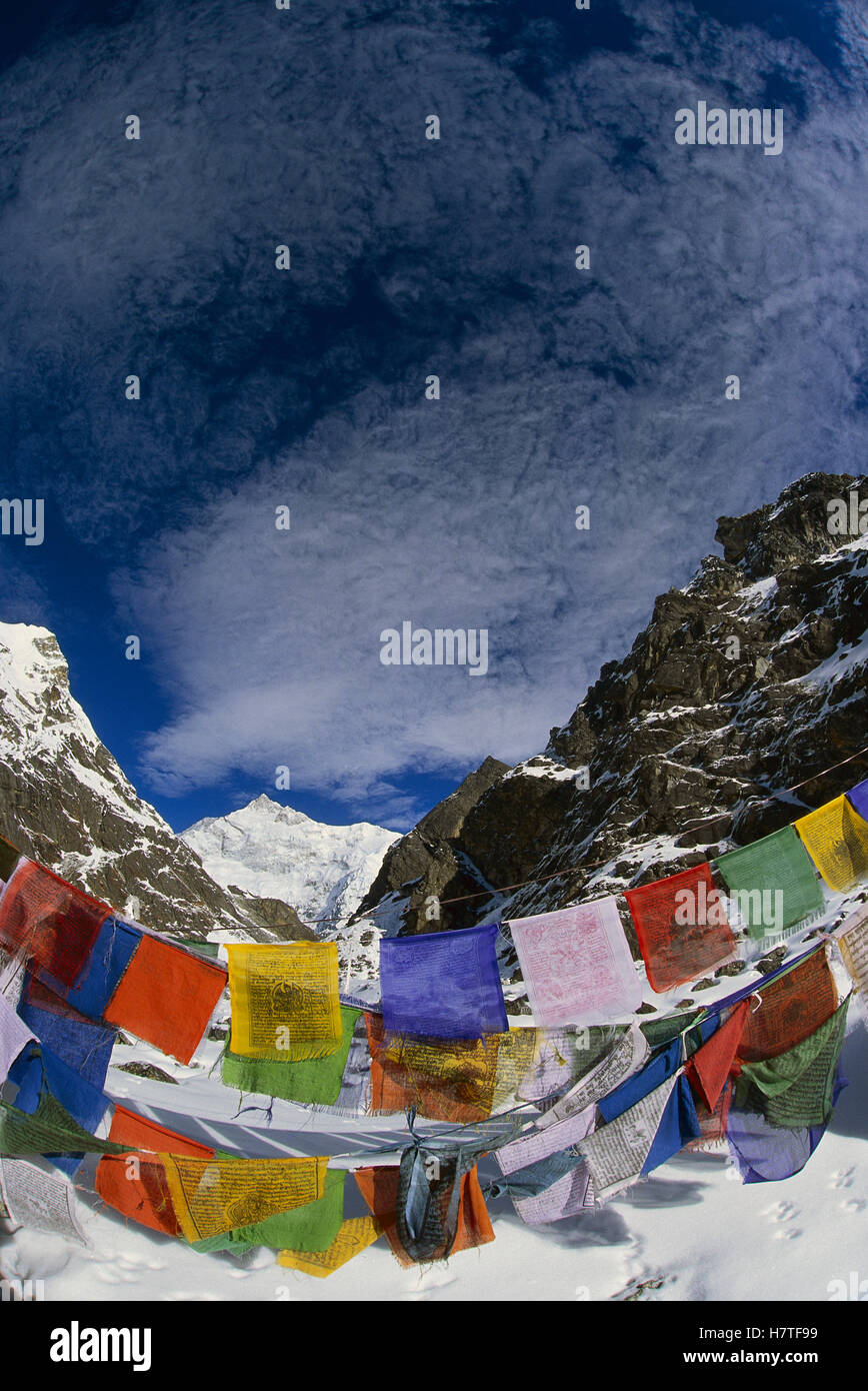 Prayer flags on Gotcha la Kangchenjunga, Talung face (8595 meters) in ...