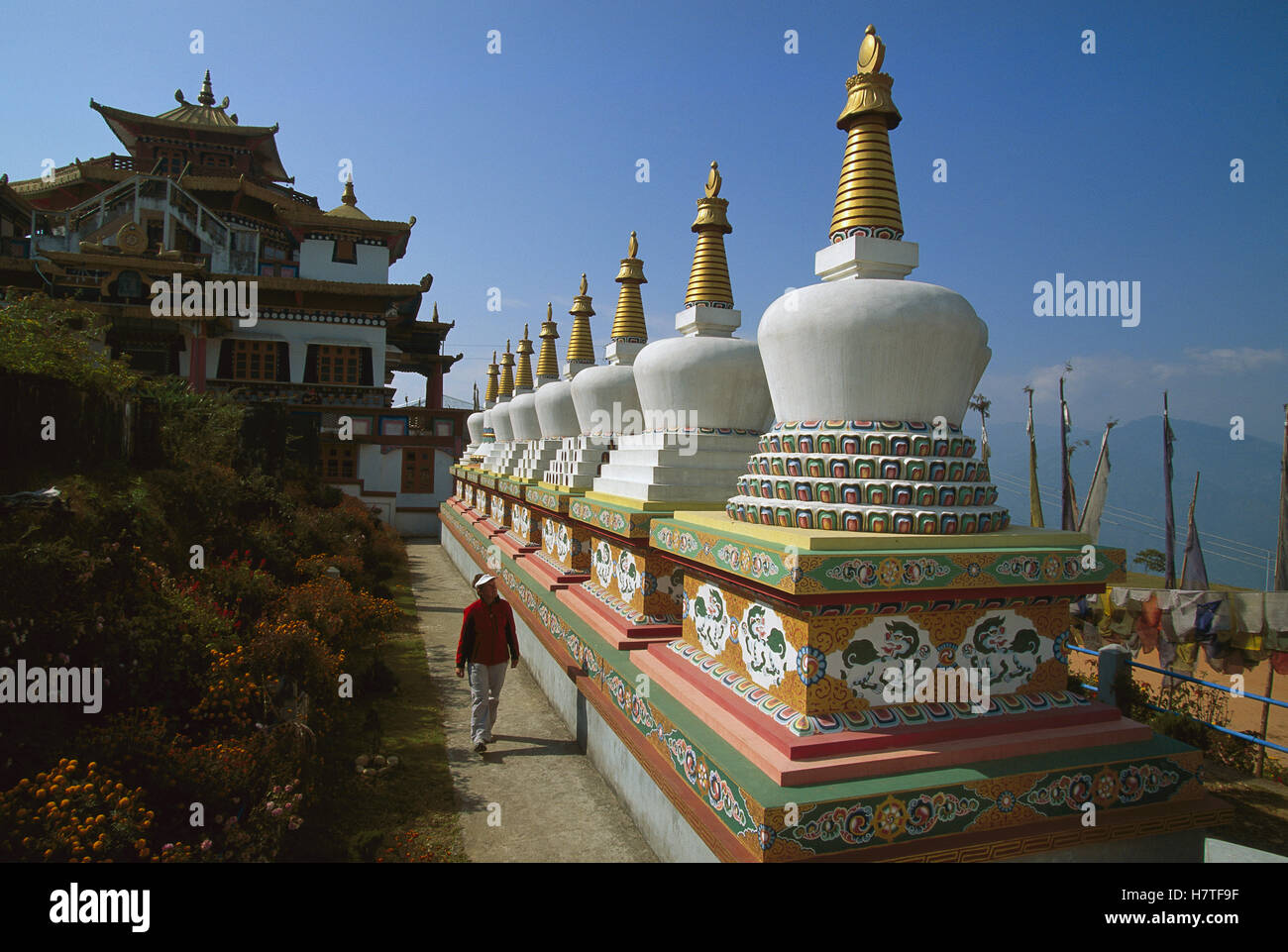 Zangdok Palrifo Brang Gompa, tourist among chortens, Kalimpong, Sikkim ...
