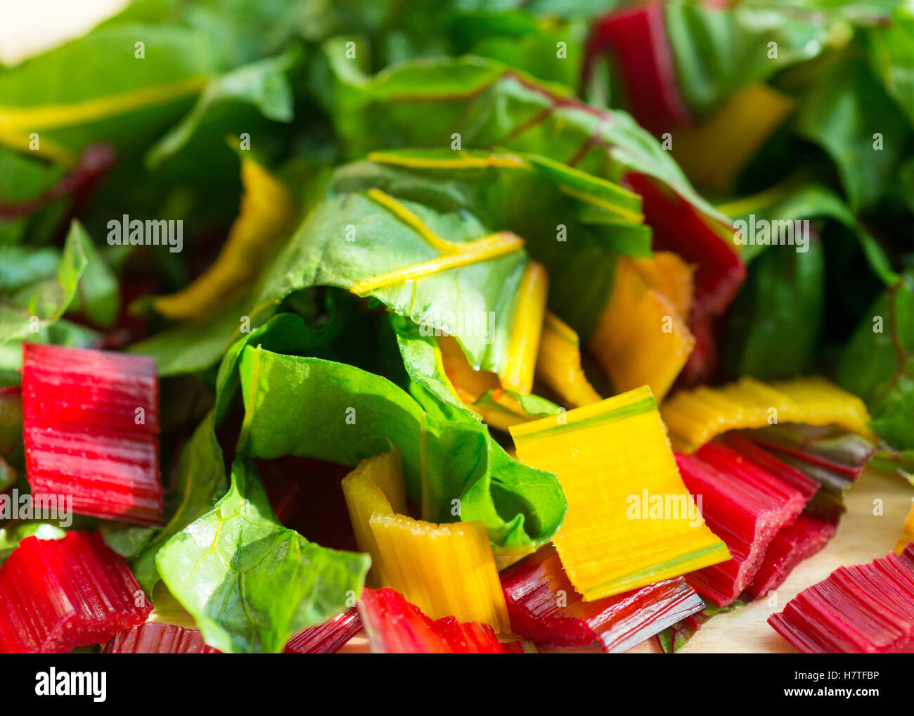 sunlight shining down on a salad of chopped red and yellow swiss chard ...