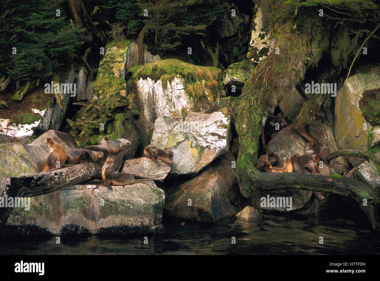 Hoste island hi-res stock photography and images - Alamy