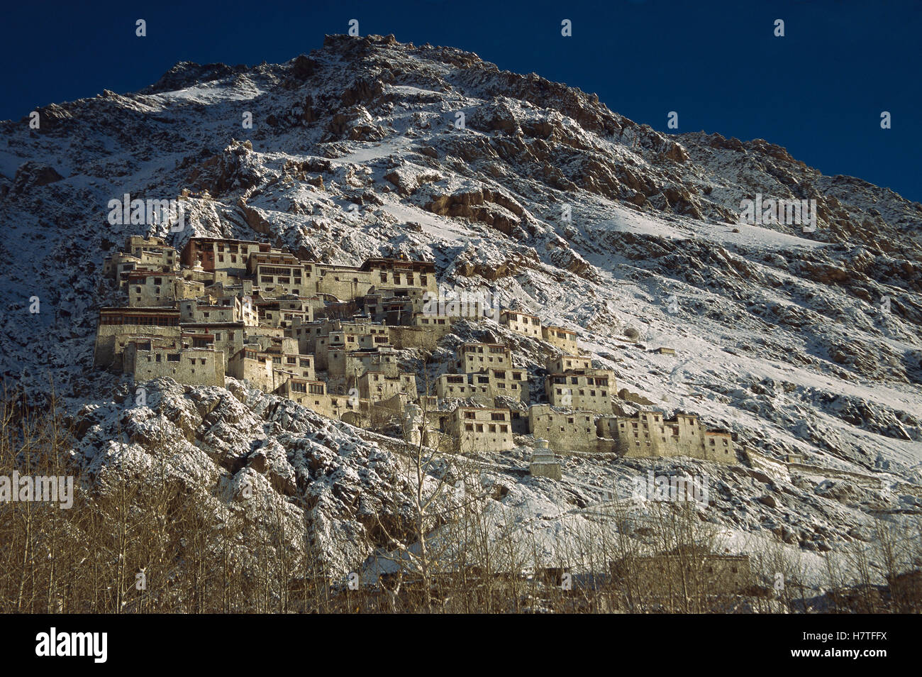Karsha Gompa monastery after winter snowfall, Kingdom of Zanskar ...