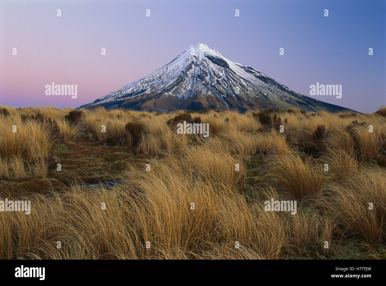 Mount Taranaki at dusk from Pouakai Range, Mount Egmont National Park ...