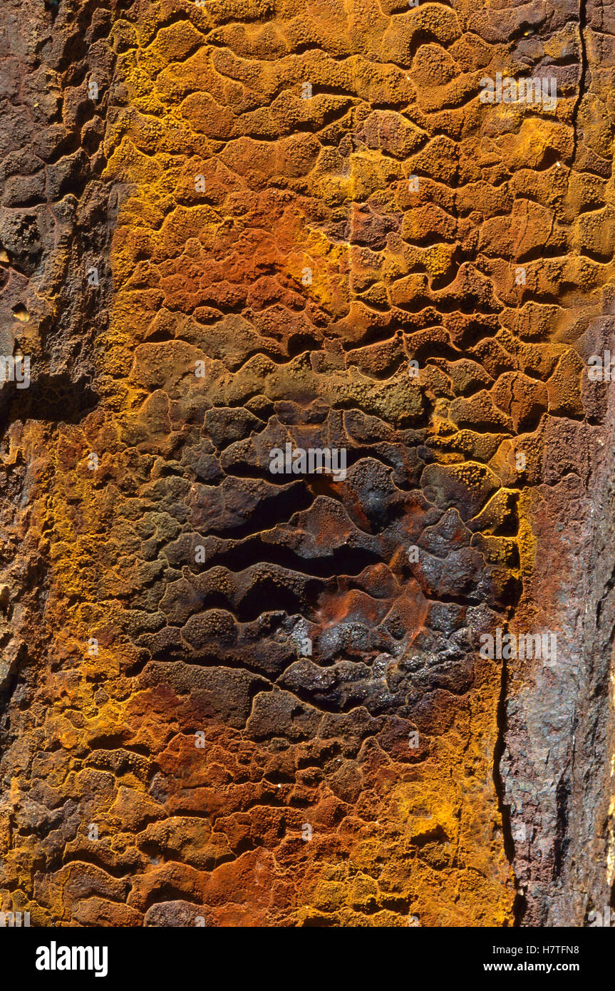 Rust, close up, New Zealand Stock Photo - Alamy