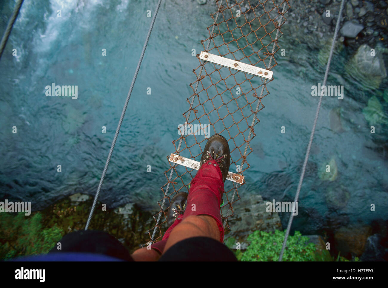 Hiker crossing wire bridge, Tuke River, New Zealand Stock Photo - Alamy