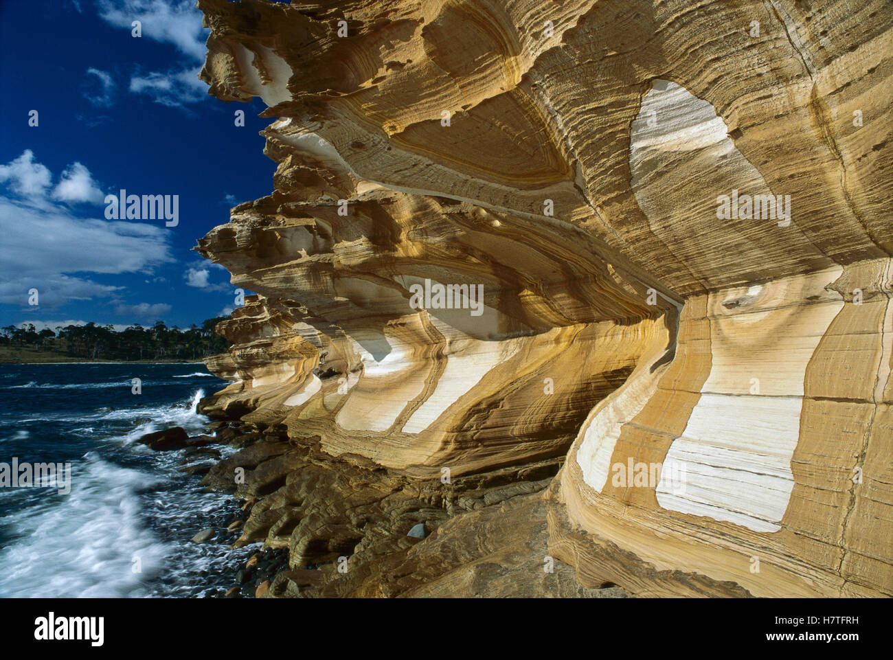 Painted Cliffs, Maria Island National Park, Tasmania, Australia Stock ...