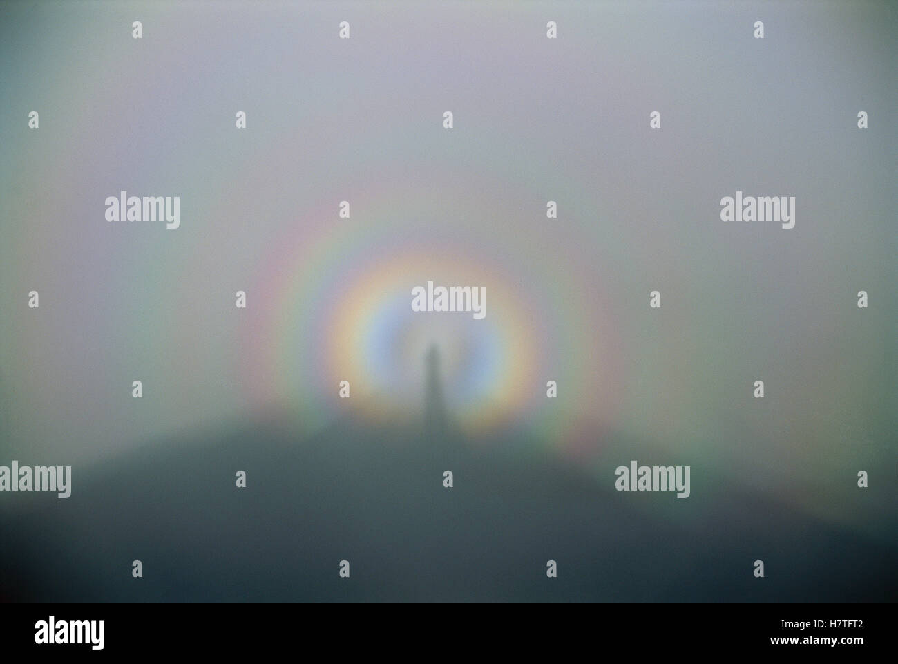 Brocken spectre (shadow cast onto clouds) above Lake Dove, Cradle ...