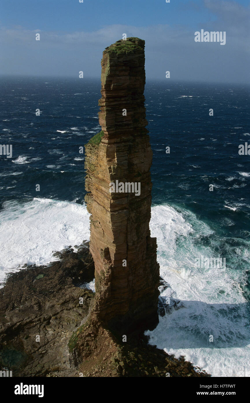 Old Man of Hoy, a sandstone pillar popular with rockclimbers, Hoy, Orkney Islands, Scotland ...