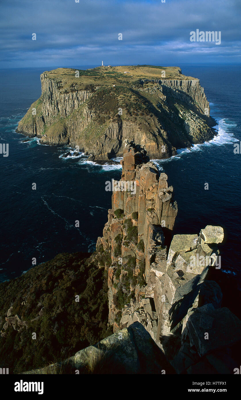 Dolerite columns, Cape Raoul, Tasmania, Australia Stock Photo - Alamy