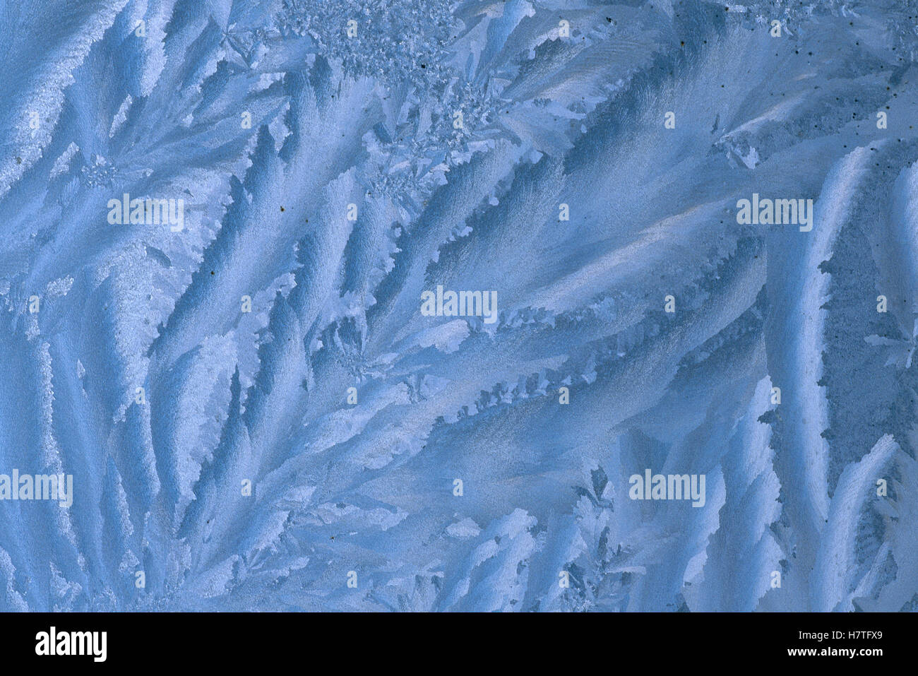 Ice and frost patterns on window Stock Photo - Alamy