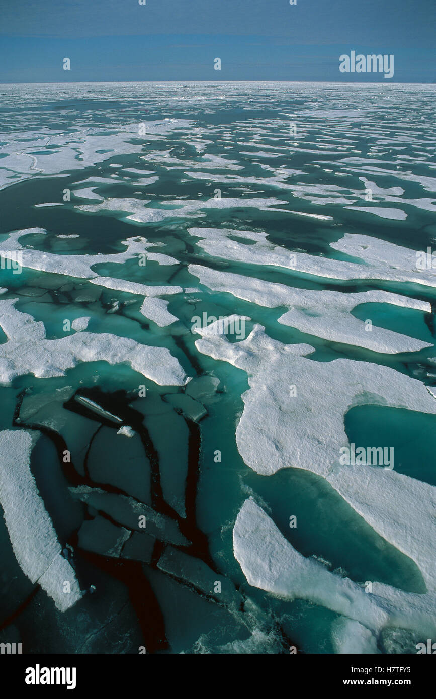 Solid pack ice and surface melt water, Arctic Ocean Stock Photo - Alamy
