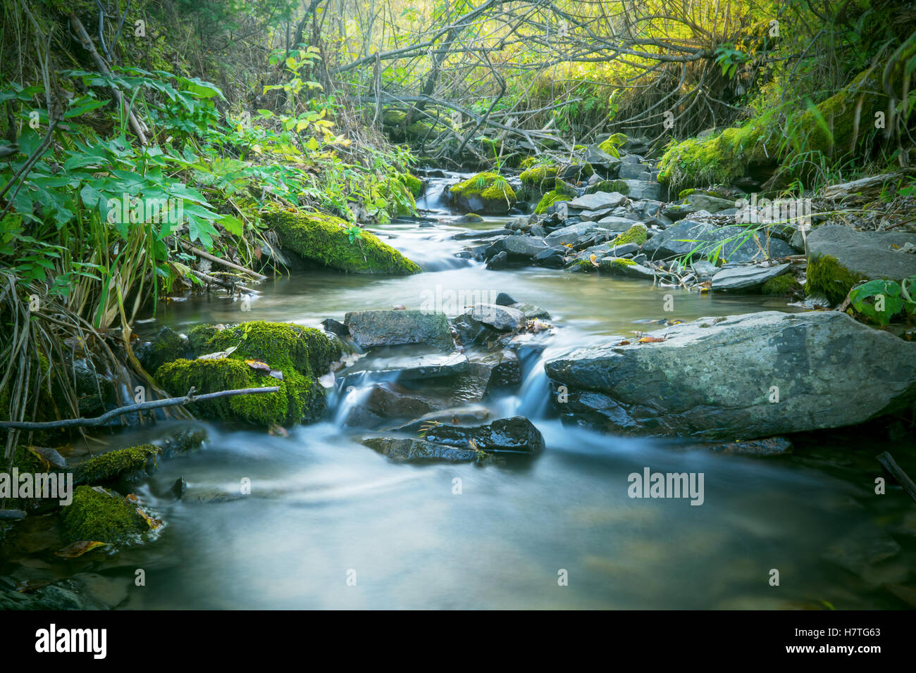 Stream with beautiful rocks hi-res stock photography and images - Alamy