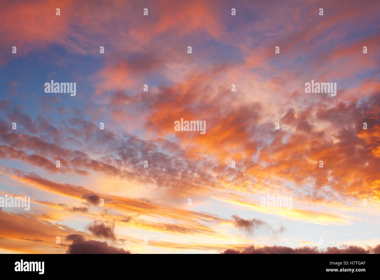 Sunlit clouds in summer sky Stock Photo - Alamy