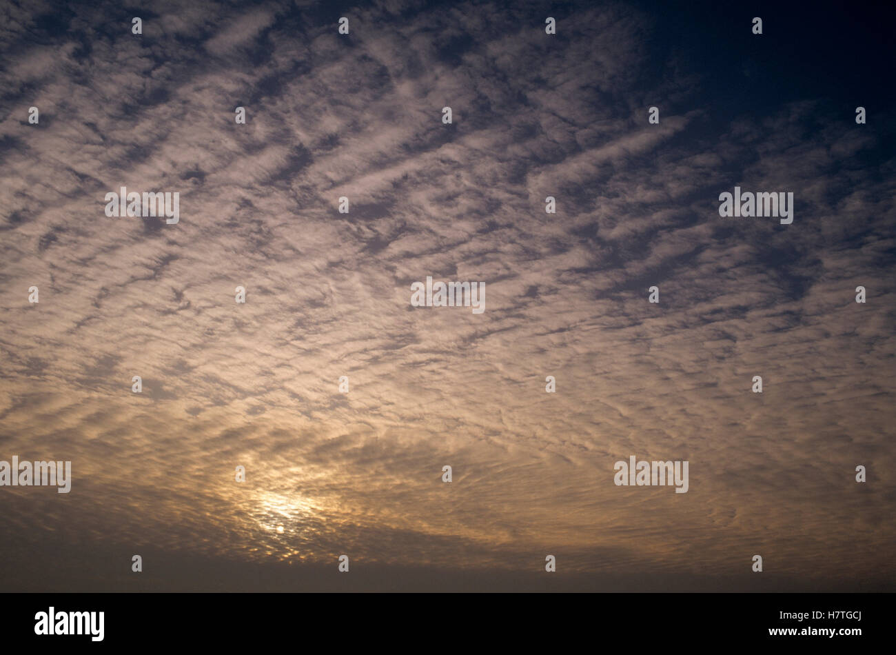 Altocumulus clouds at sunset Stock Photo - Alamy