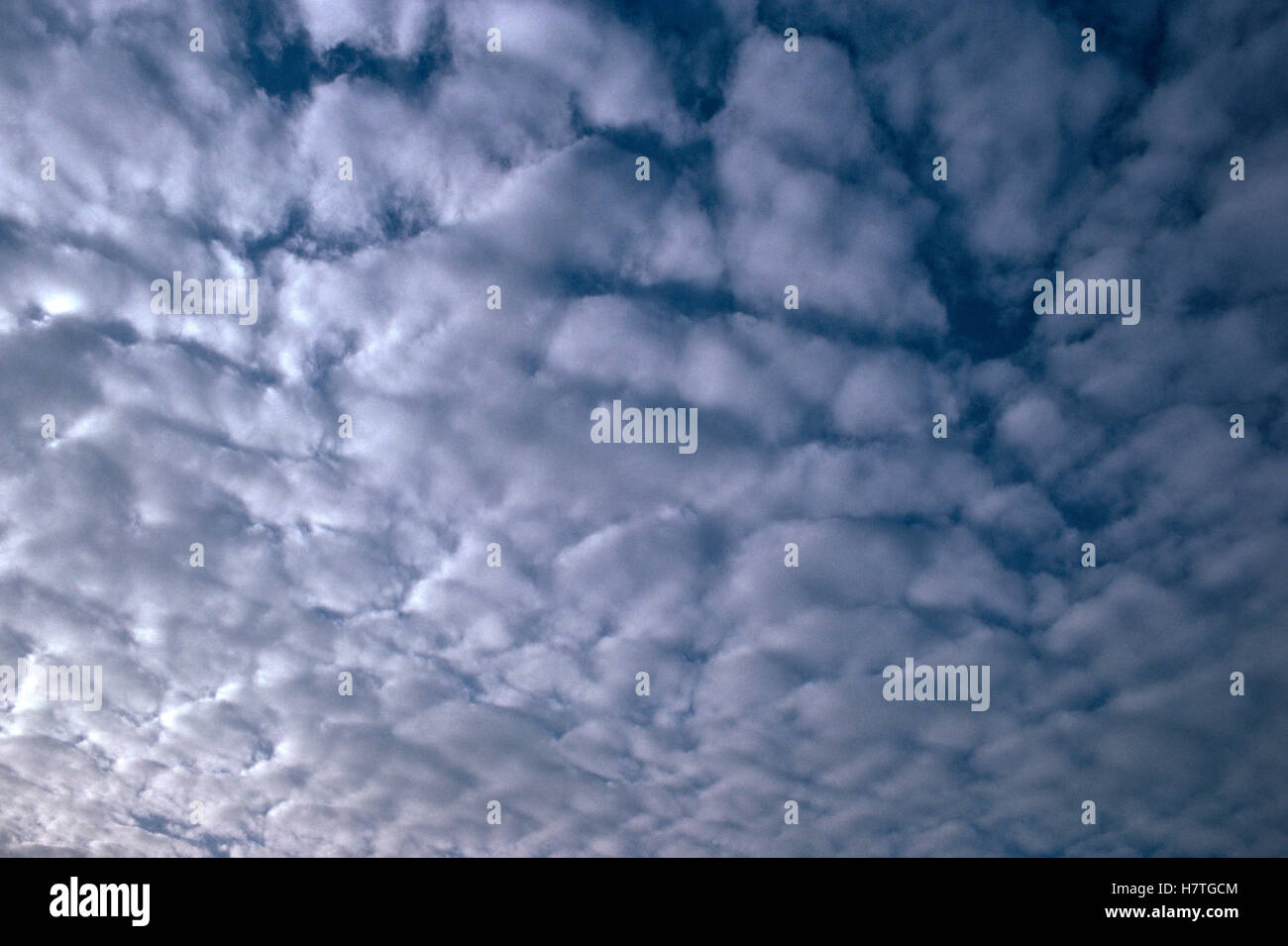 Altocumulus clouds in sky Stock Photo - Alamy