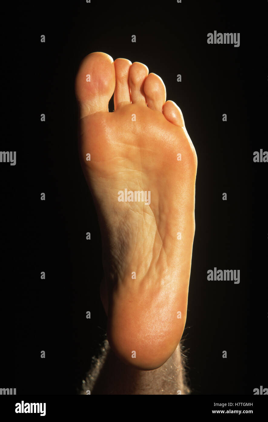 Human (Homo sapien) foot underside Stock Photo - Alamy