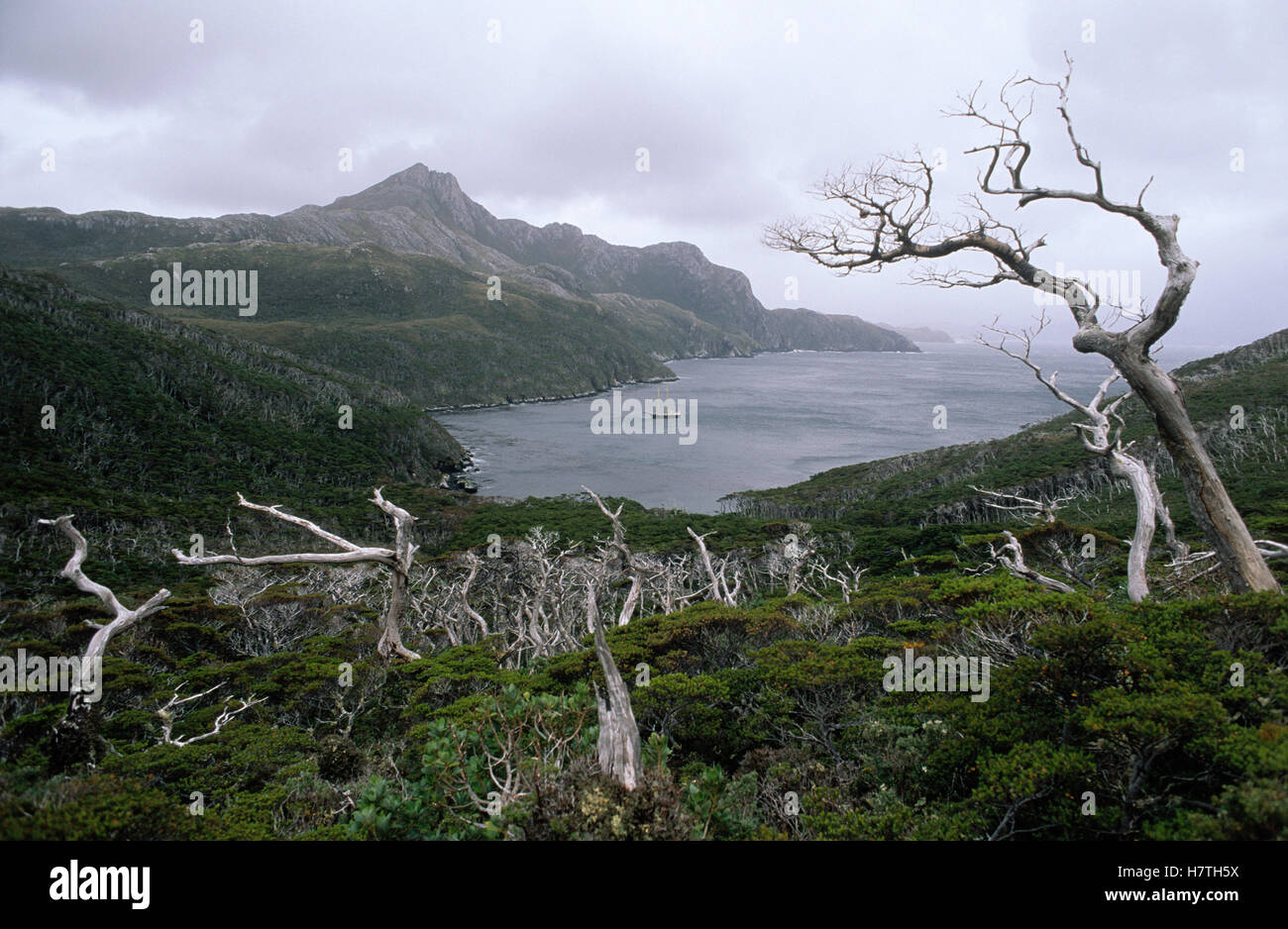 Cape Horn National Park honors a notorious landmark at the southern tip ...