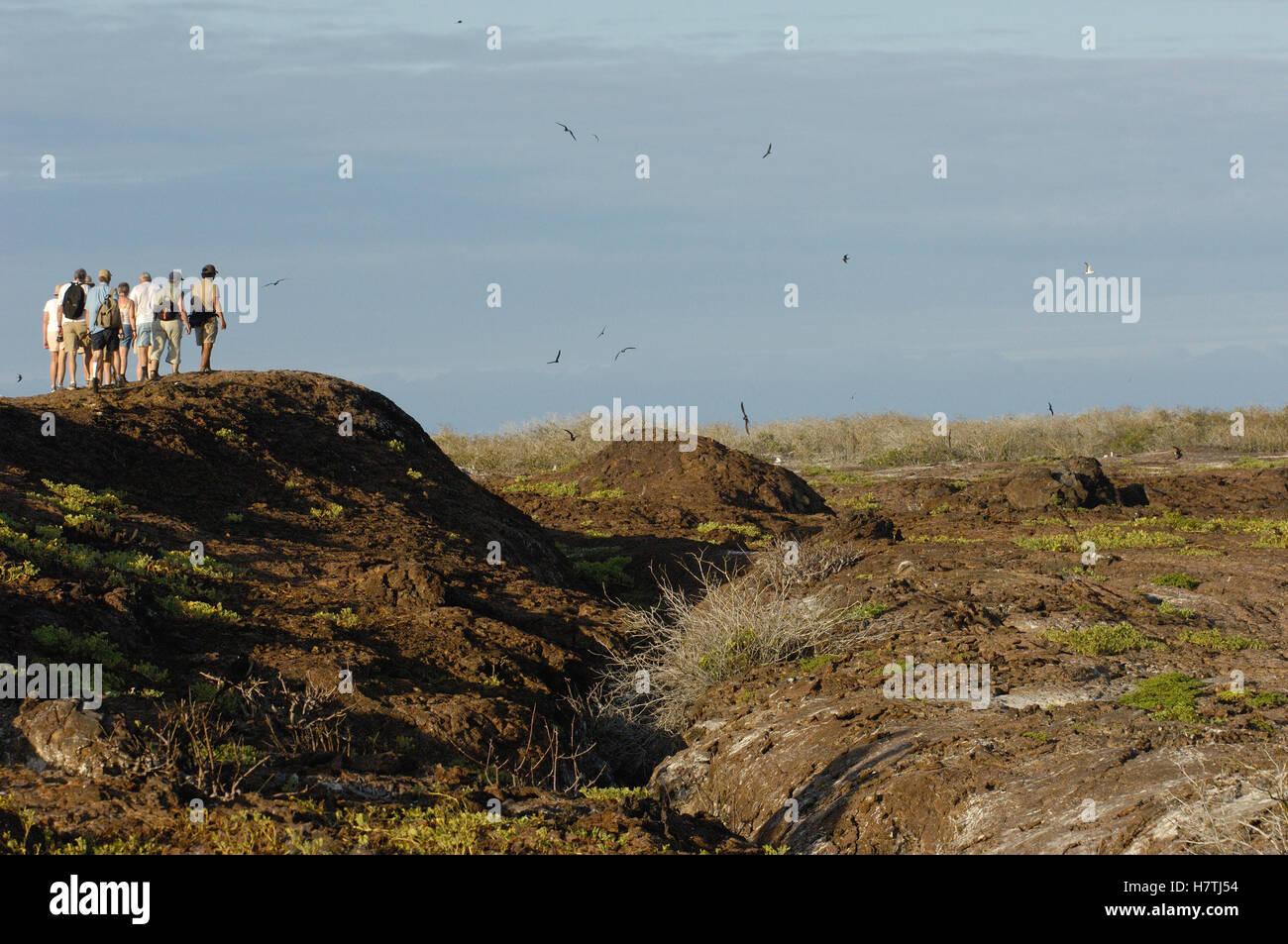Tourists walking on guided tour of Genovesa Island, Galapagos Islands ...