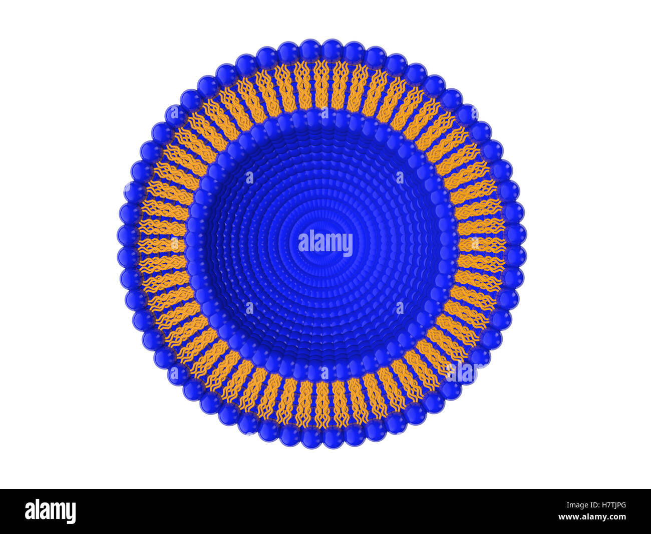Medical 3D illustration of liposomes bi-layer structure isolated on ...