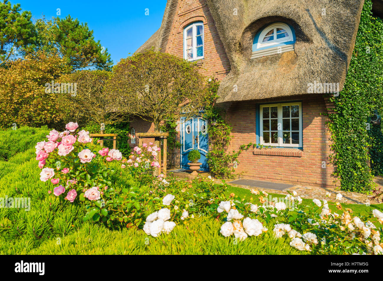 Typical Frisian house with straw roof in Kampen village on Sylt island ...