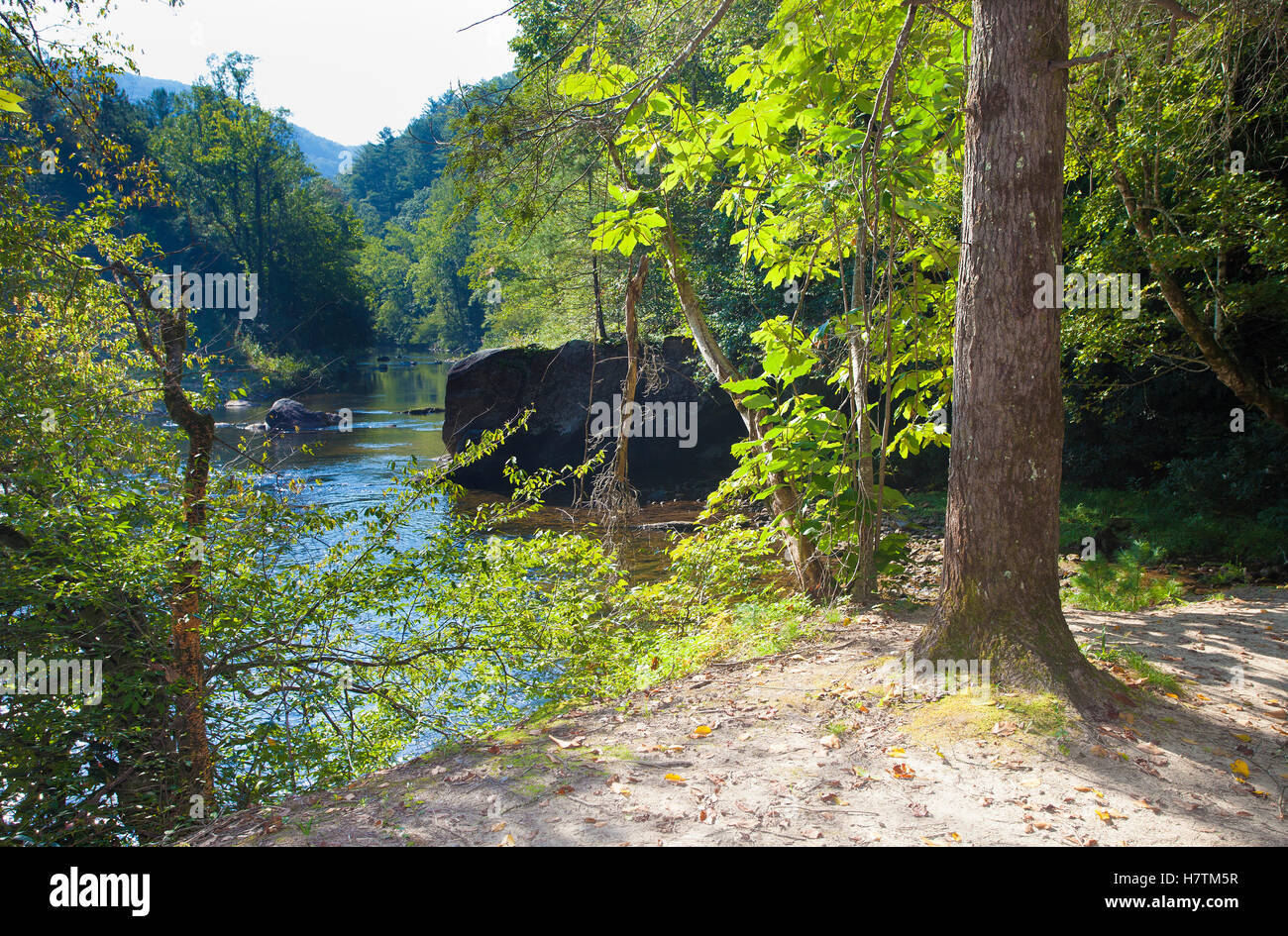 Forest trail overlooking Wilson Creek in North Carolina Stock Photo - Alamy