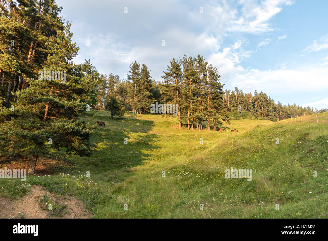 Sloped land hi-res stock photography and images - Alamy