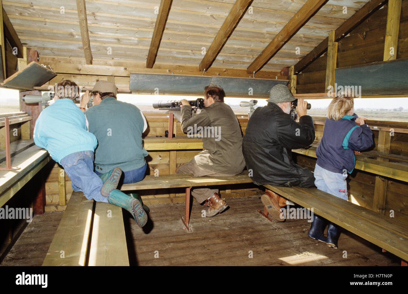 Bird watchers at observation post, Netherlands Stock Photo - Alamy