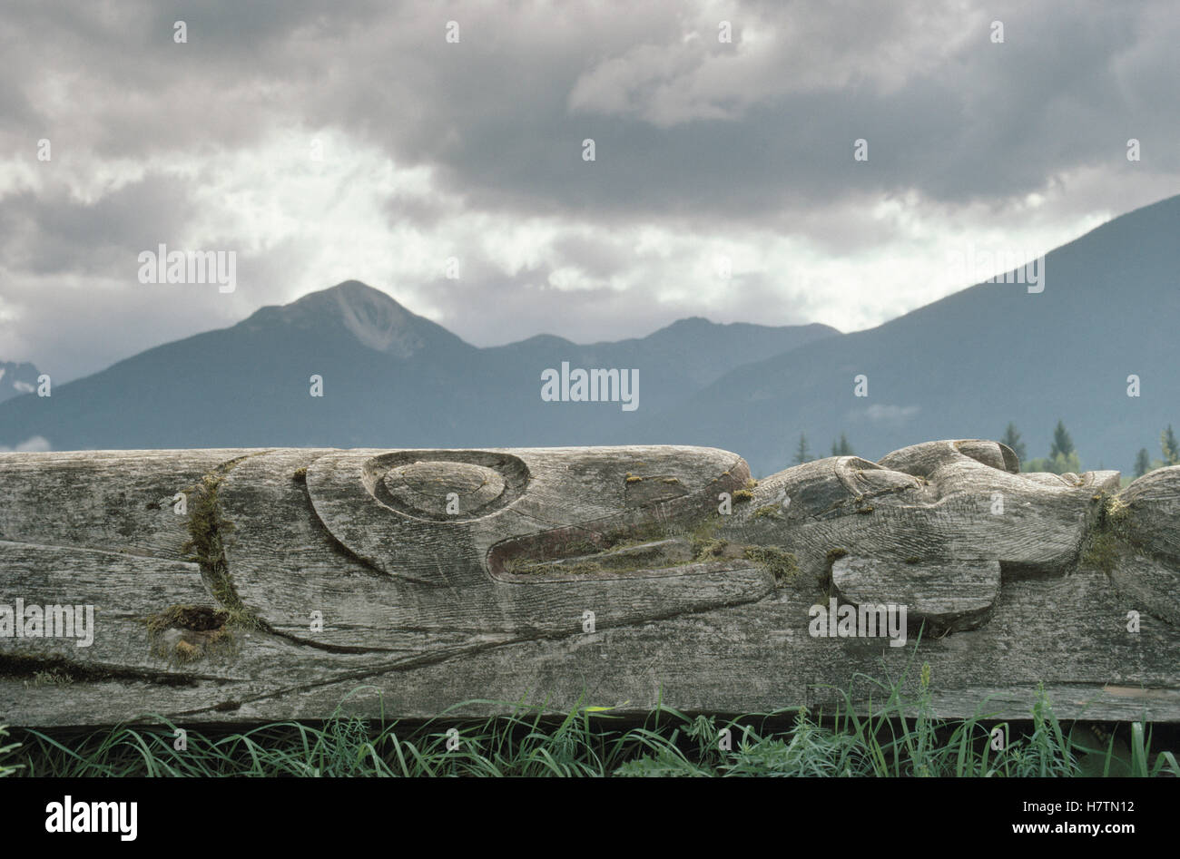 Fallen Kitwanga totem pole with mountain behind, British Columbia ...