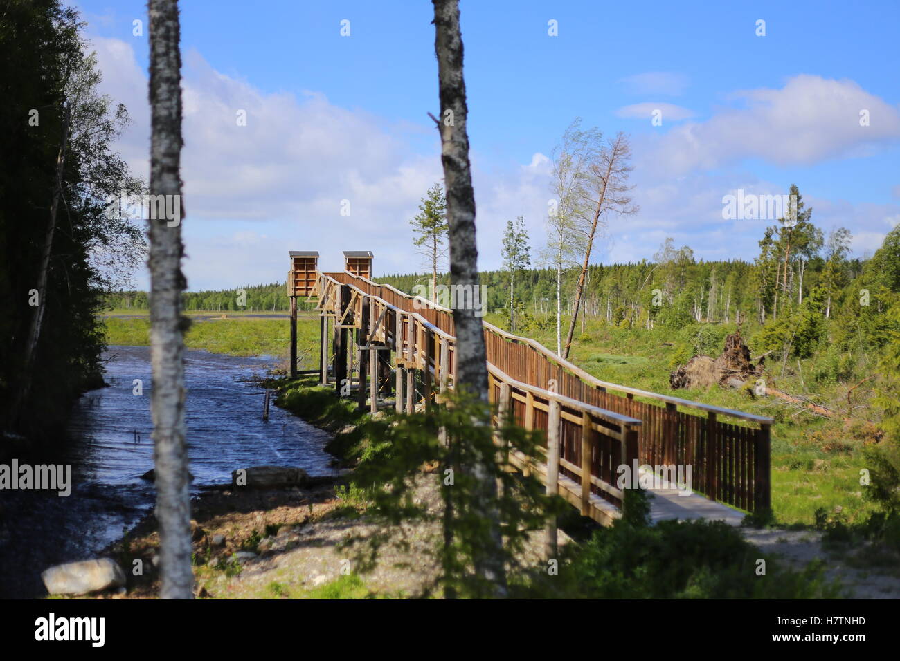 Bird watching platform near Tullingsaas in Sweden Stock Photo - Alamy