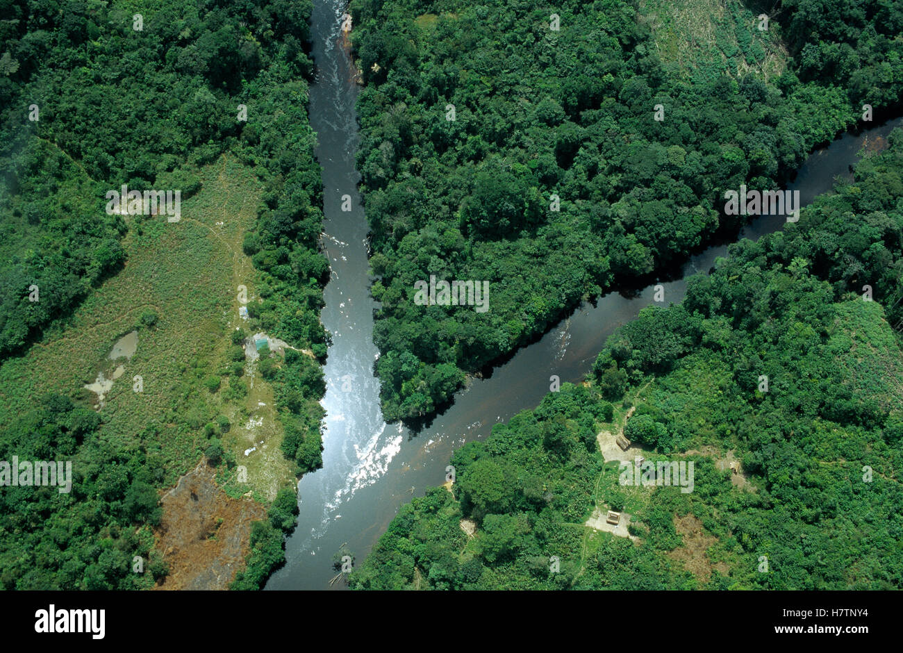 Aerial view of tropical rainforest with converging rivers, Guyana Stock ... Aerial view of tropical rainforest with converging rivers, Guyana Stock ...