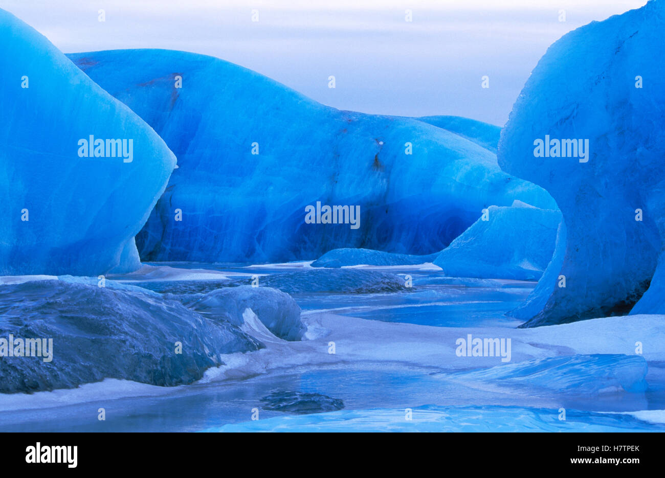 Blue icebergs, Iceland Stock Photo - Alamy
