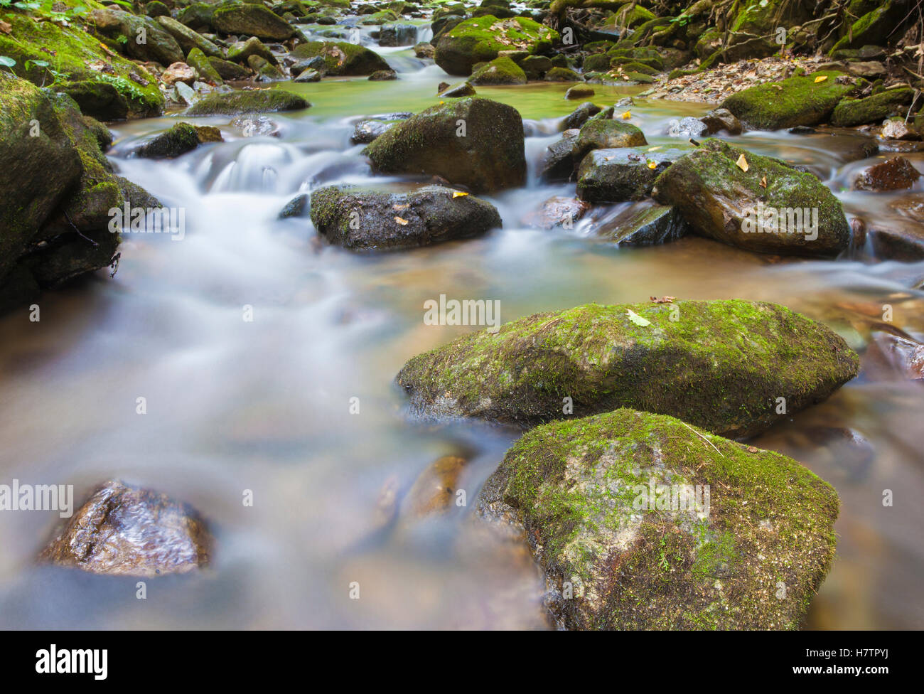 Water running over rocks on Pisgah National Forest in North Carolina ...