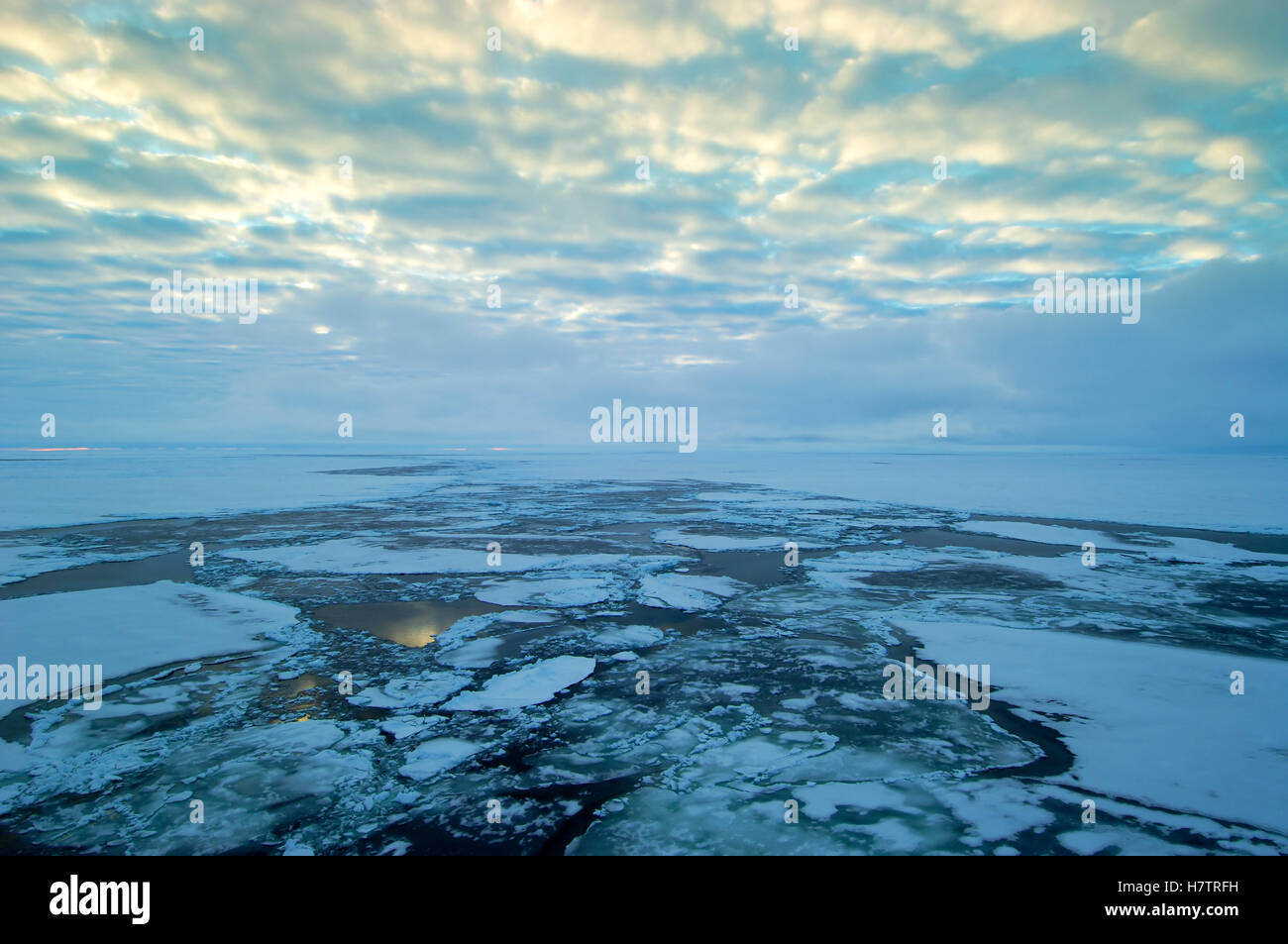 Pack ice, Antarctica Stock Photo - Alamy