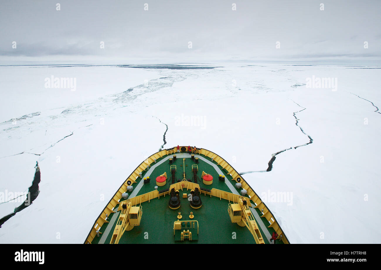 The bow of the Russian icebreaker Kapitan Khlebnikov, Antarctica Stock ...