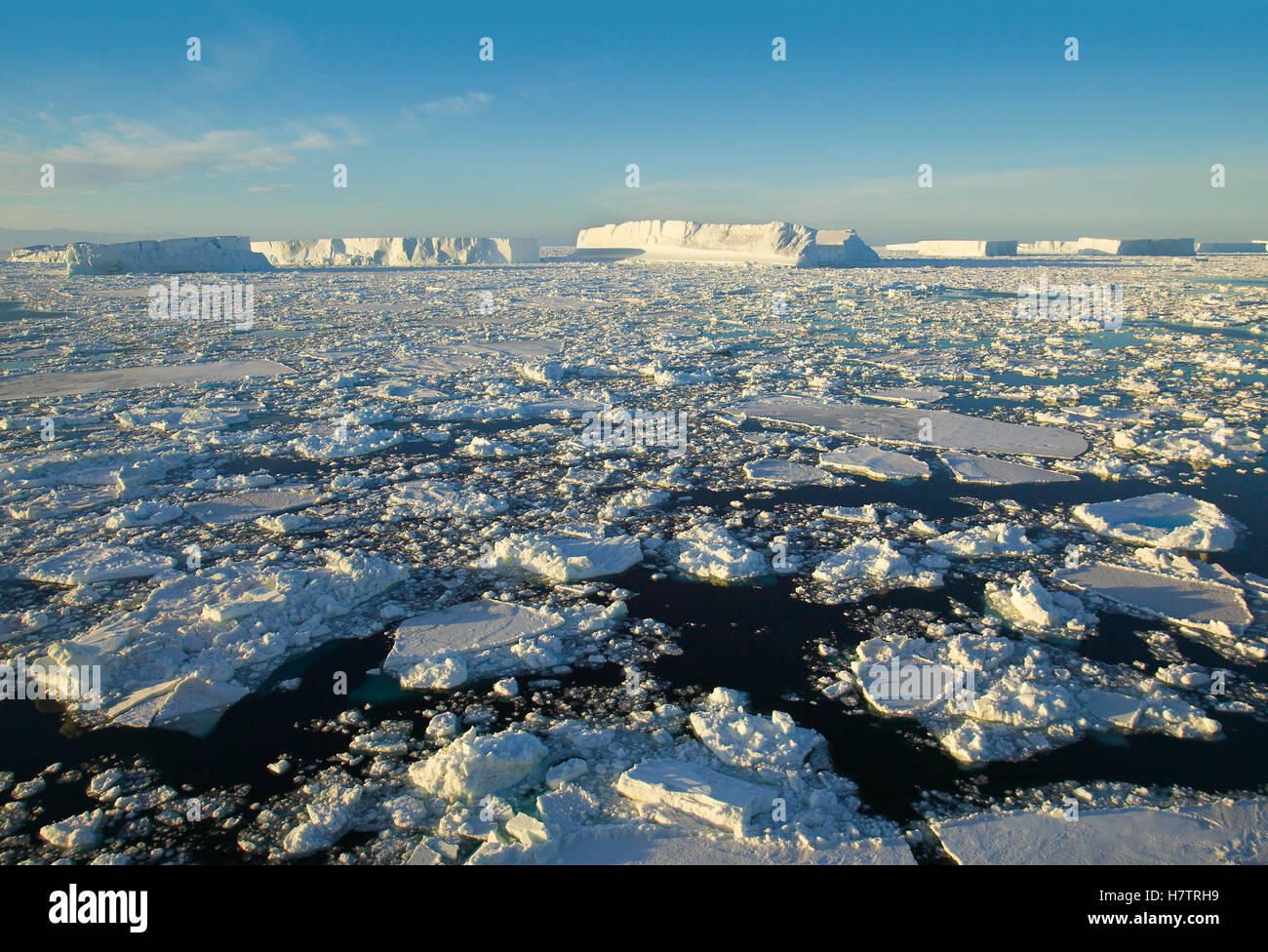 Pack ice with icebergs on the horizon, Antarctica Stock Photo - Alamy