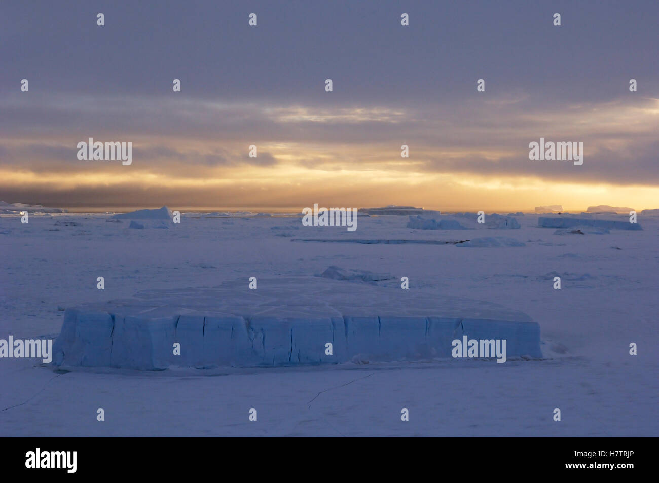 Icefield at sunset, Antarctica Stock Photo - Alamy