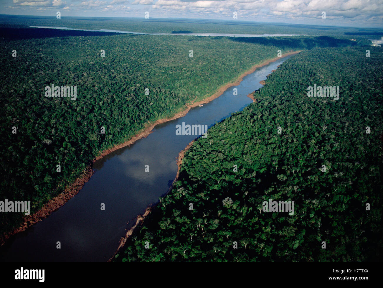 Timber plantation and soybeans on Terra Roxas near the Itaipu reservoir ...